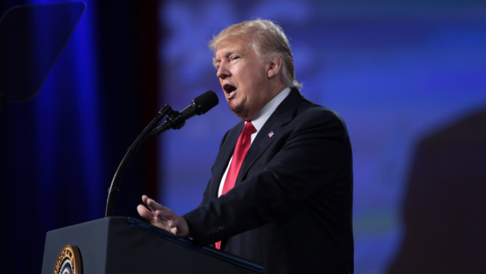 Trump Gives Cryptic 3-Word Response When Asked How Far He'll Go to Get ...