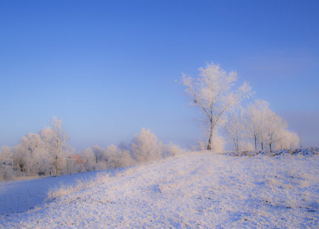 Northeast Set to Be Blasted by ‘Most Extreme Cold on Earth’ Before ...