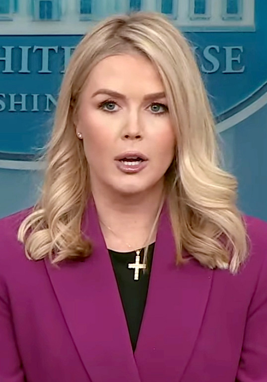 Karoline Leavitt Answers If Trump Is 'Satisfied' With Bongino's ...