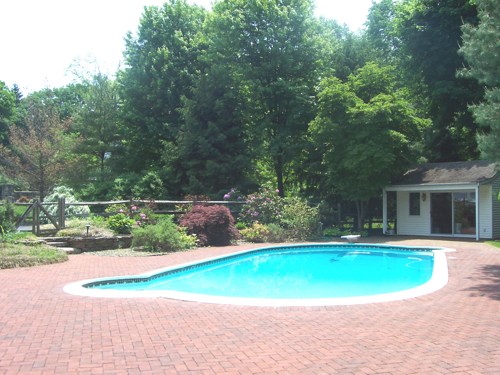 5 Electrocuted in Pool, Including Teen Credited for Saving the Others ...