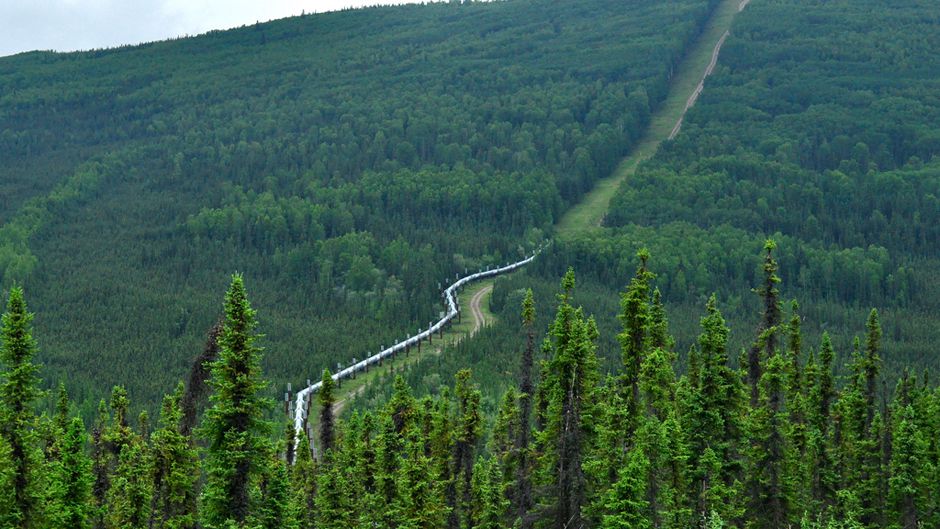 Florida and Alaska Join Keystone XL Pipeline Lawsuit Against Biden ...